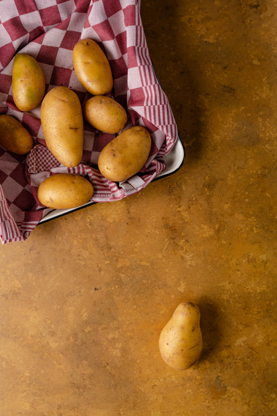 Flatlay Ochre Backdrop | Ochre Color Backdrop | Backdropshop.eu